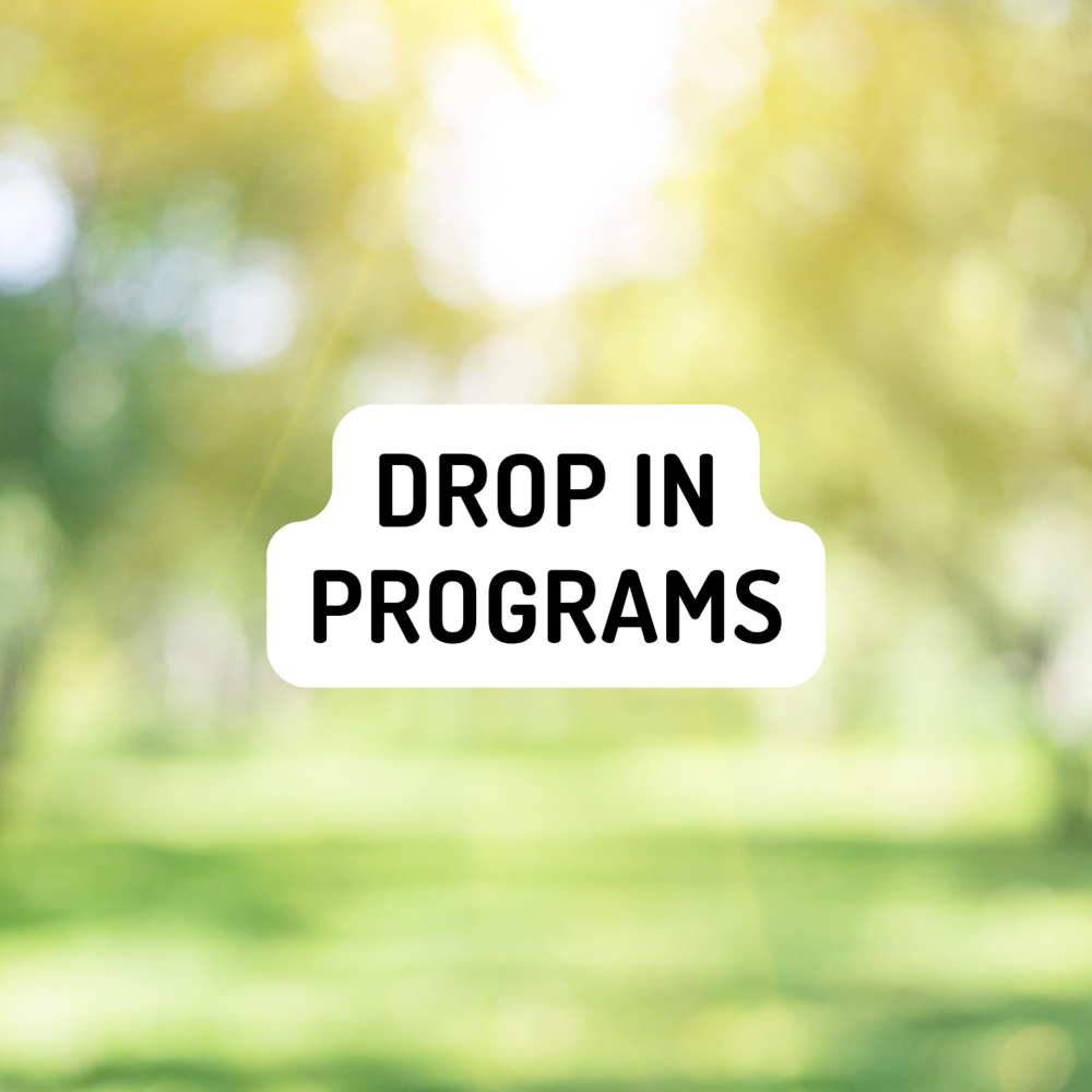 Recreation Programs - Essa Township