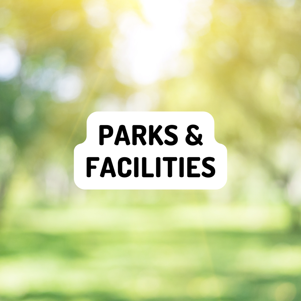 Play & Explore - Essa Township